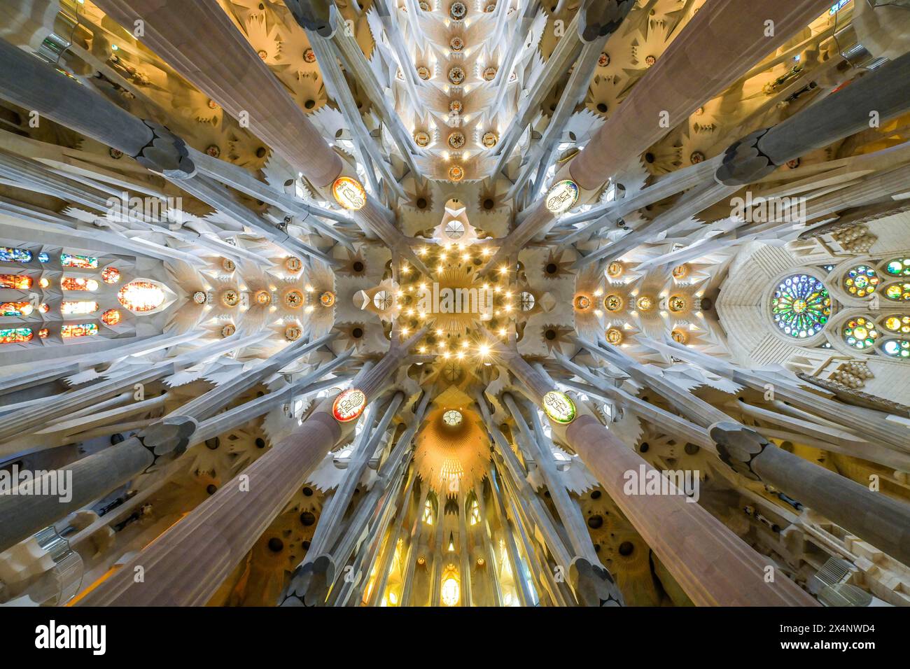 Vaulted ceiling, columns, Sagrada Familia, Basilica by Antoni Gaudi ...