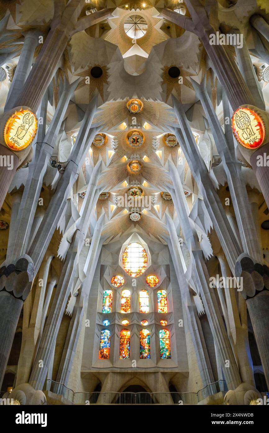 Nave, ceiling vault, columns, Sagrada Familia, Basilica by Antoni Gaudi ...