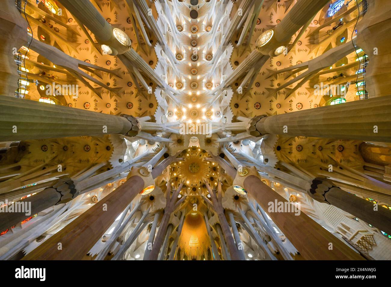 Vaulted ceiling, columns, Sagrada Familia, Basilica by Antoni Gaudi ...