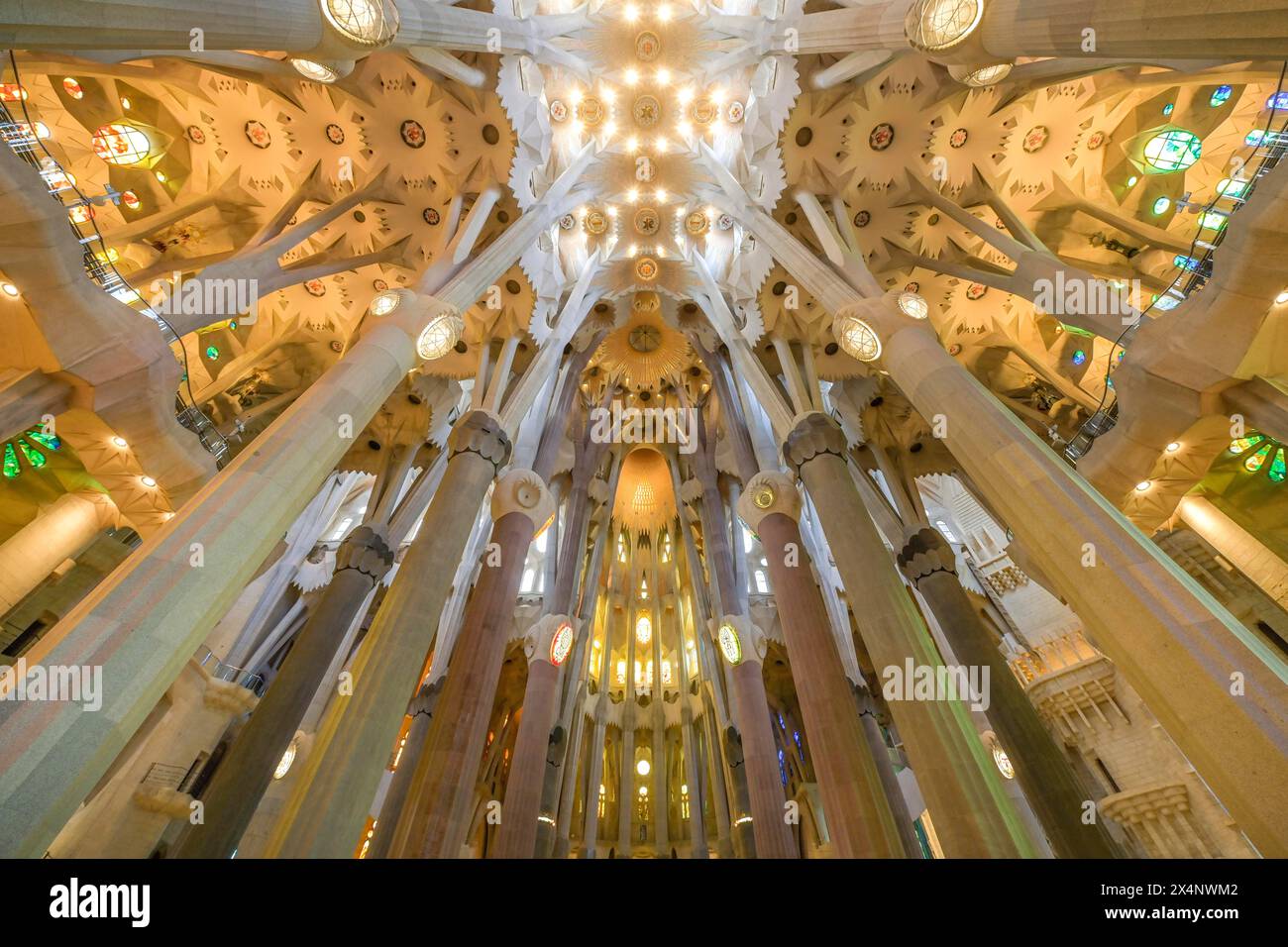 Nave, ceiling vault, columns, Sagrada Familia, Basilica by Antoni Gaudi ...