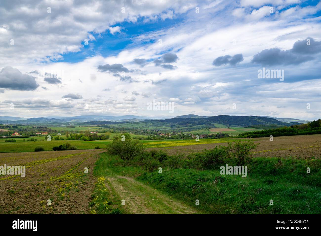Dirt road tall grass hi-res stock photography and images - Alamy