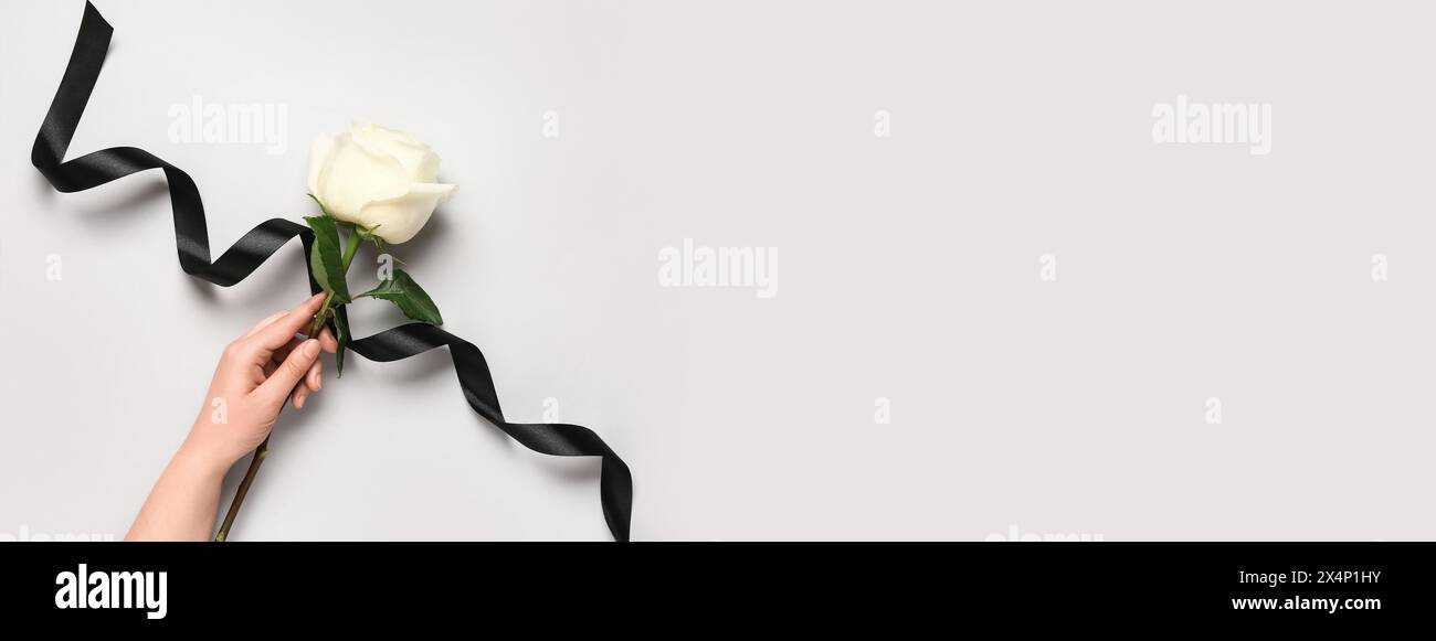 Female hand, rose and black funeral ribbon on white background with ...