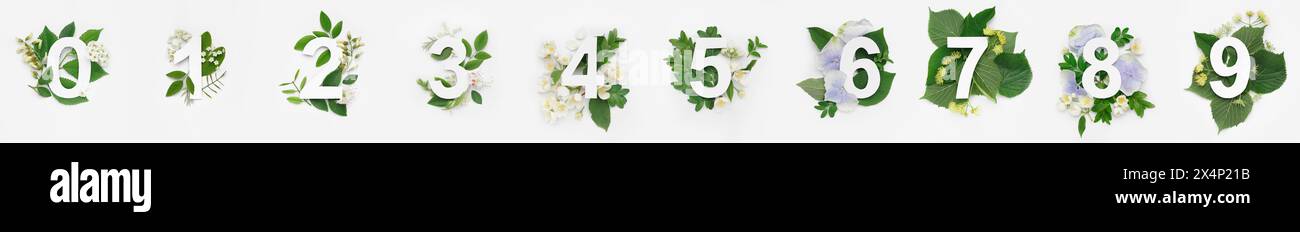 Numbers with green leaves and spring flowers on white background Stock ...