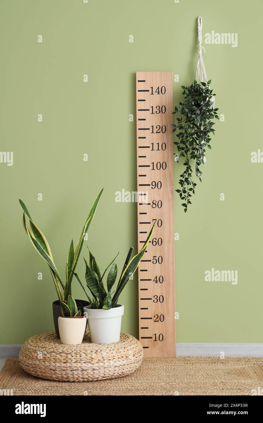 Wooden stadiometer and houseplants near green wall Stock Photo - Alamy