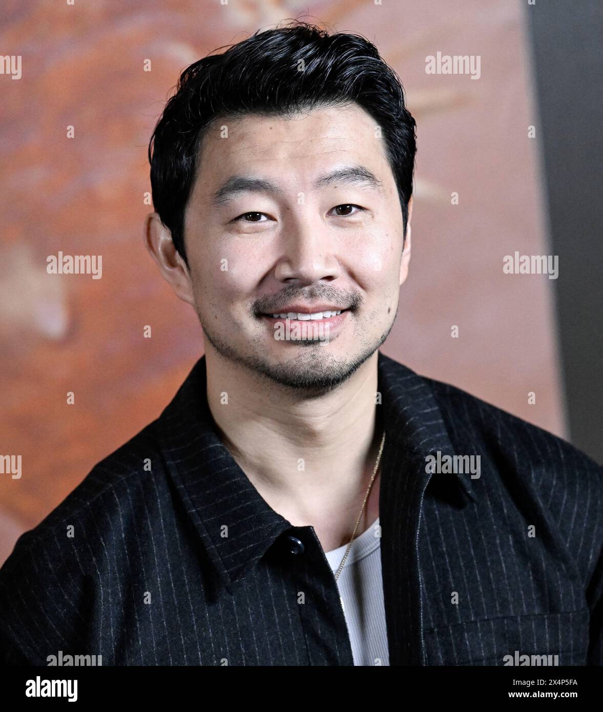 Simu Liu participates in a Netflix "Atlas" photo call at the Four ...