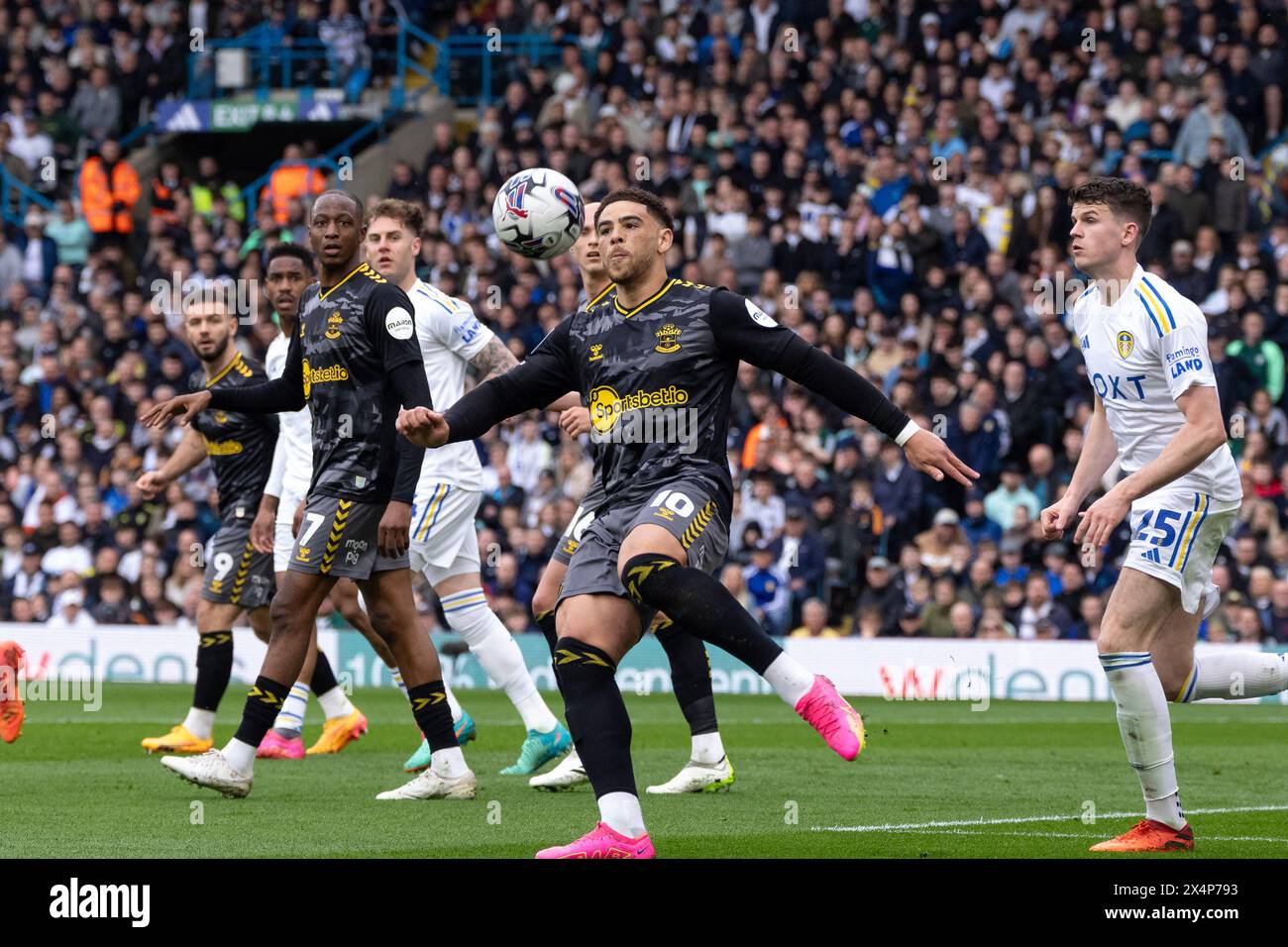 Che Adams (Southampton) during the Sky Bet Championship match between ...