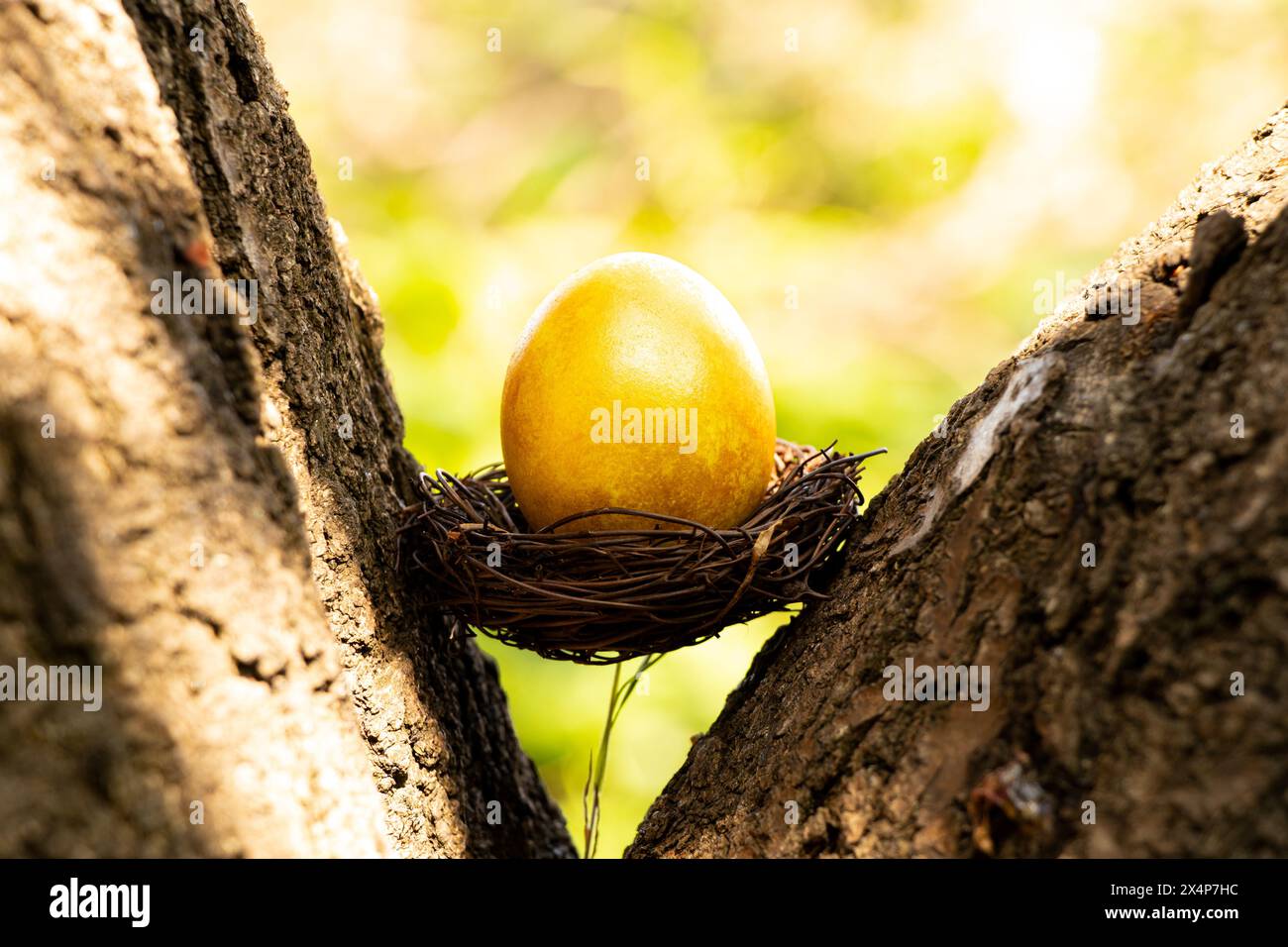 Luxury easter egg tree hi-res stock photography and images - Alamy