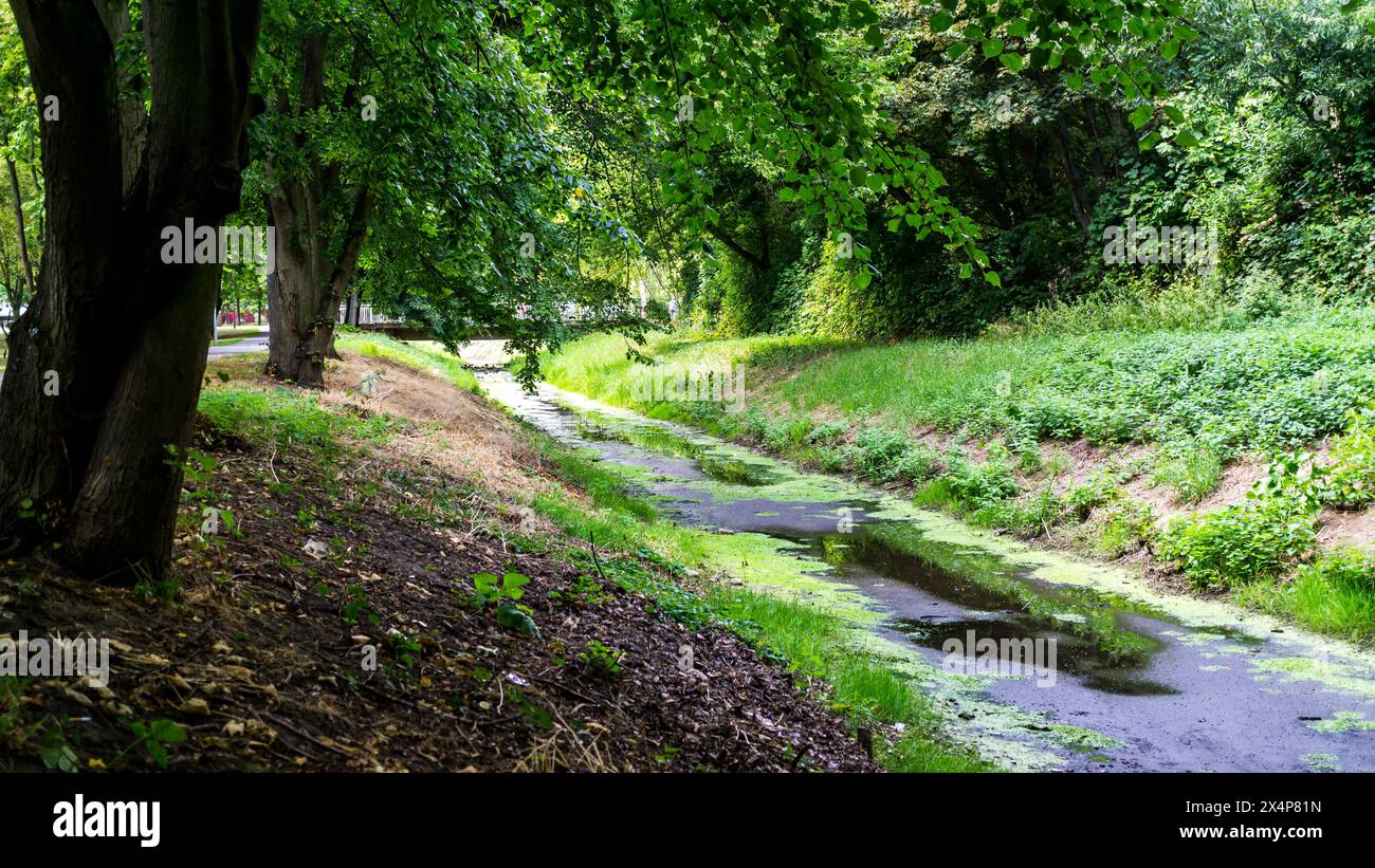 small creek surrounded by trees in park in Stendal during summer time ...
