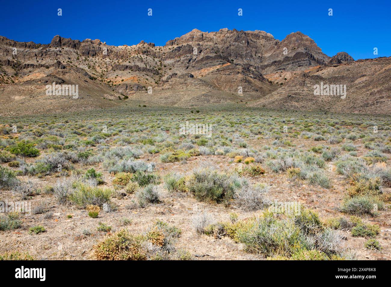Fish Springs Range, Fish Springs Wilderness Study Area, Fillmore Bureau ...