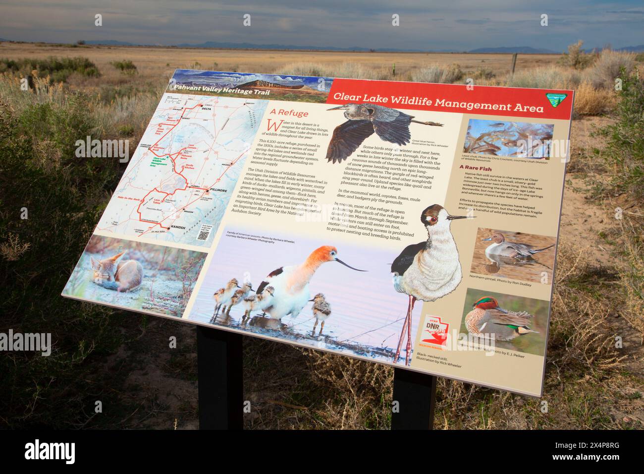 Clear lake wildlife management area hi-res stock photography and images ...