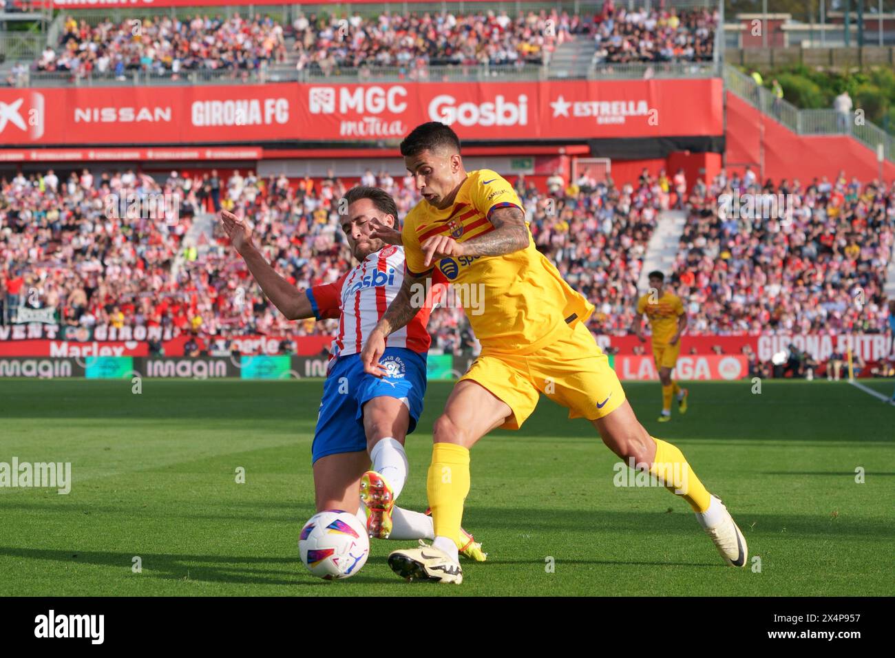 Joao candelo hi-res stock photography and images - Alamy