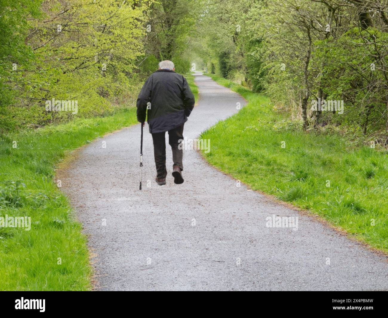 Elderly man walking alone on path in the countryside Stock Photo - Alamy