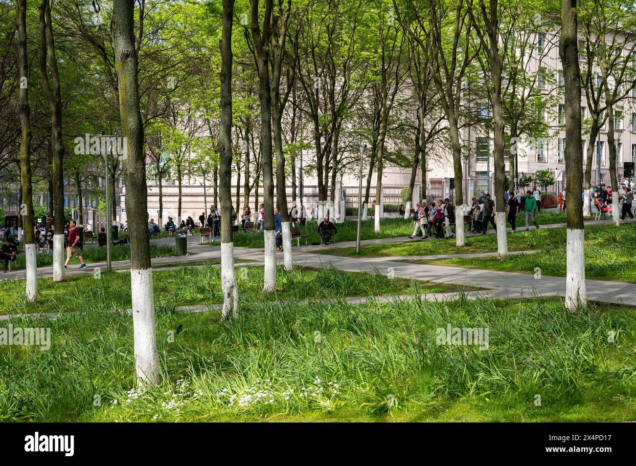 Brussels Capital Region, Belgium - May 1, 2024 - Trees at the Saint ...