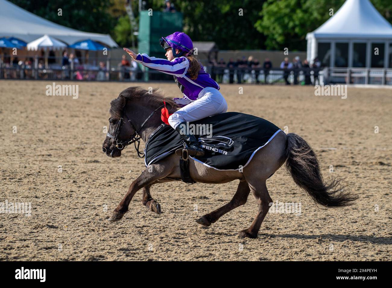 Windsor, Berkshire, UK. 4th May, 2024. The Defender Shetland Pony Grand National at Royal ...
