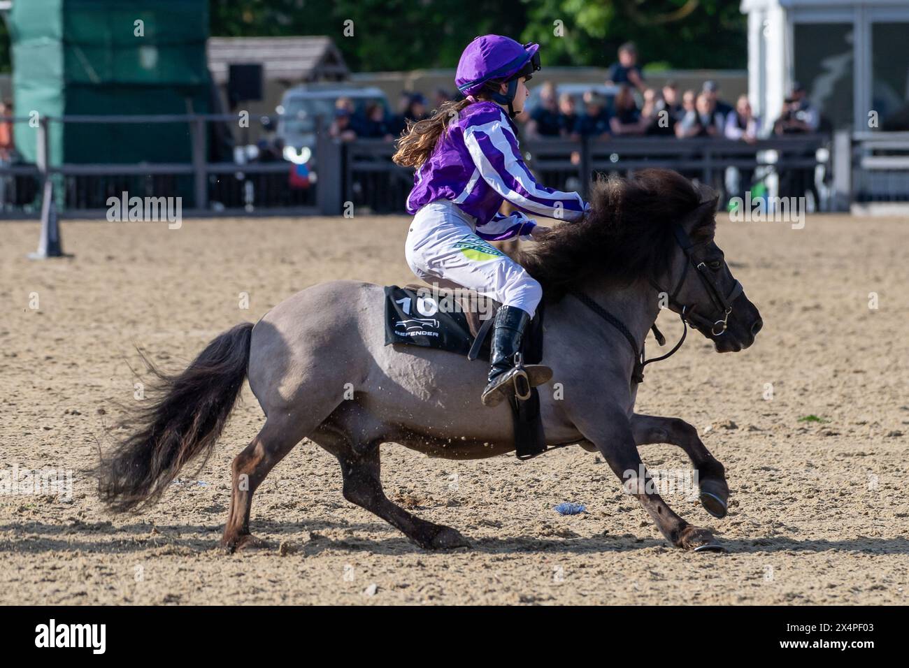 Windsor, Berkshire, UK. 4th May, 2024. The Defender Shetland Pony Grand National at Royal ...
