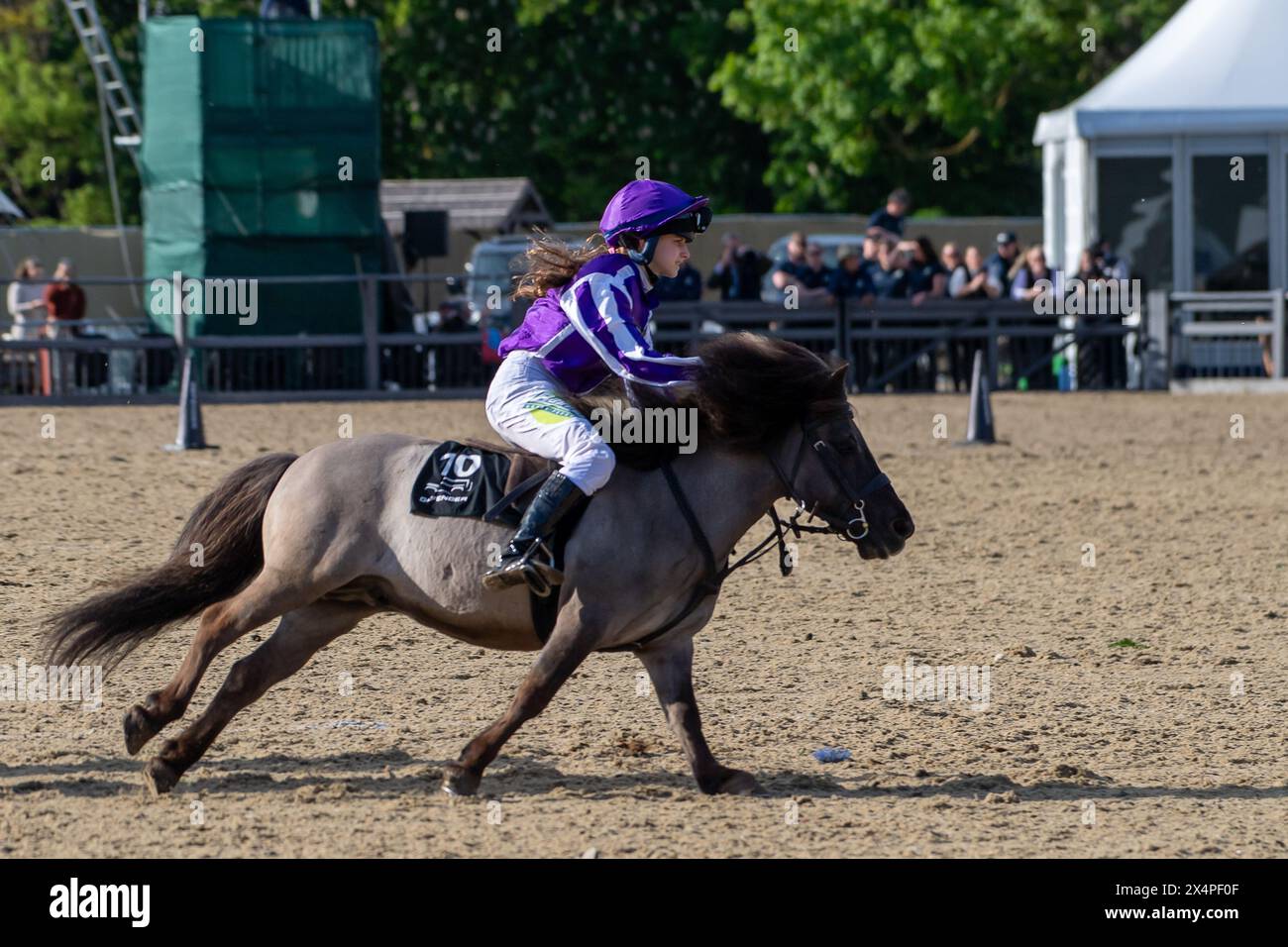 Windsor, Berkshire, UK. 4th May, 2024. The Defender Shetland Pony Grand National at Royal ...