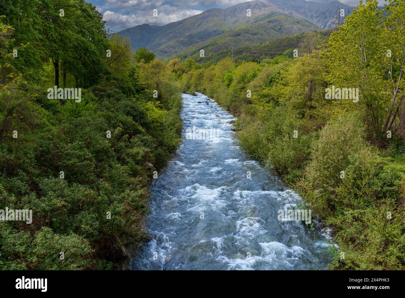 The river Po flows through the woods at Paesana, Italy, 20 km from its ...