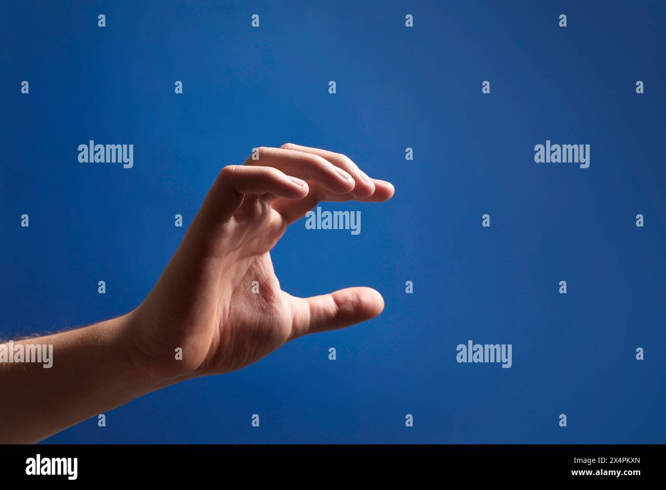 Man holding something in hand on blue background, closeup. Space for ...
