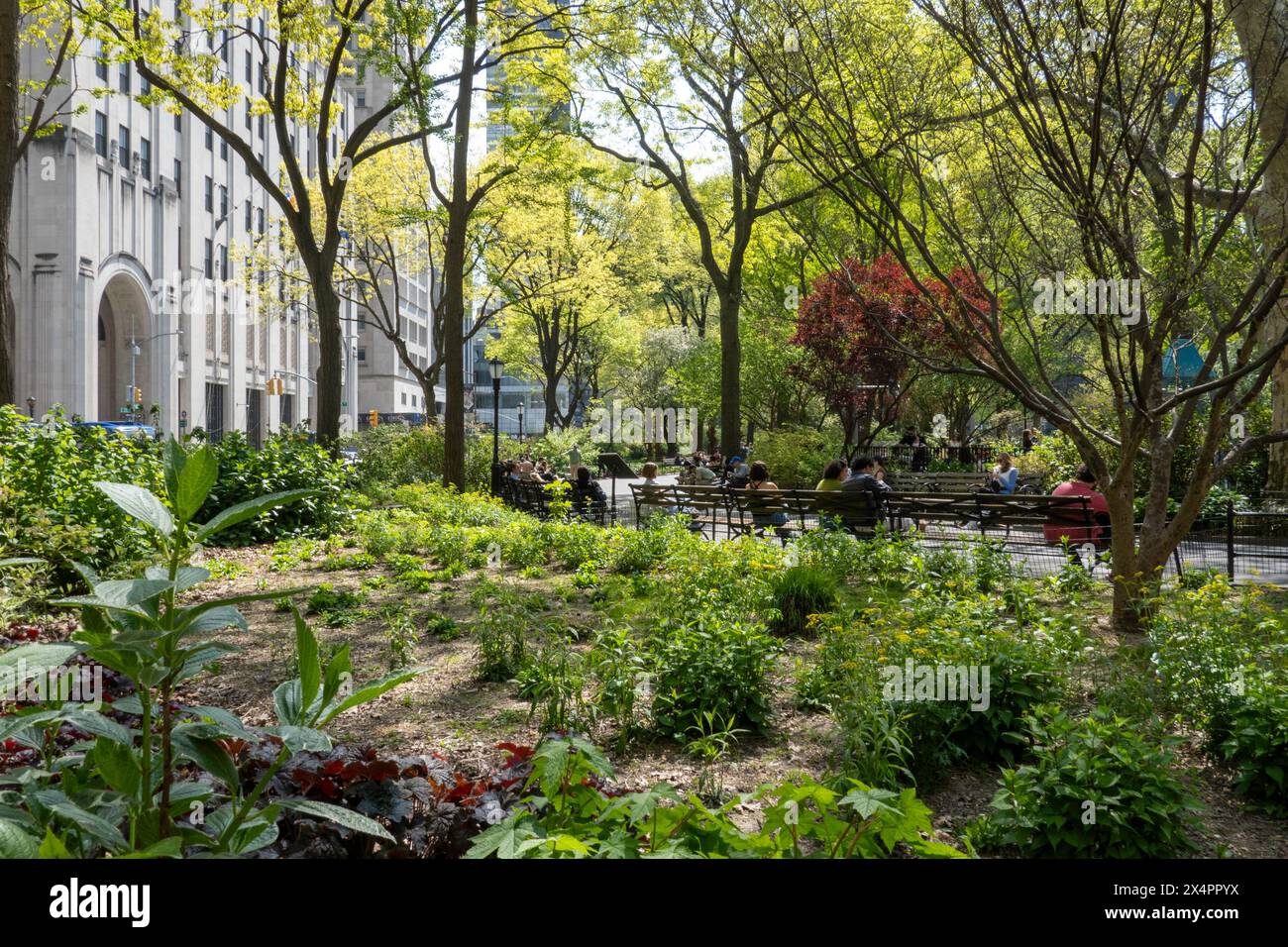 Madison Square Park in the springtime is an urban oasis for tourist and ...