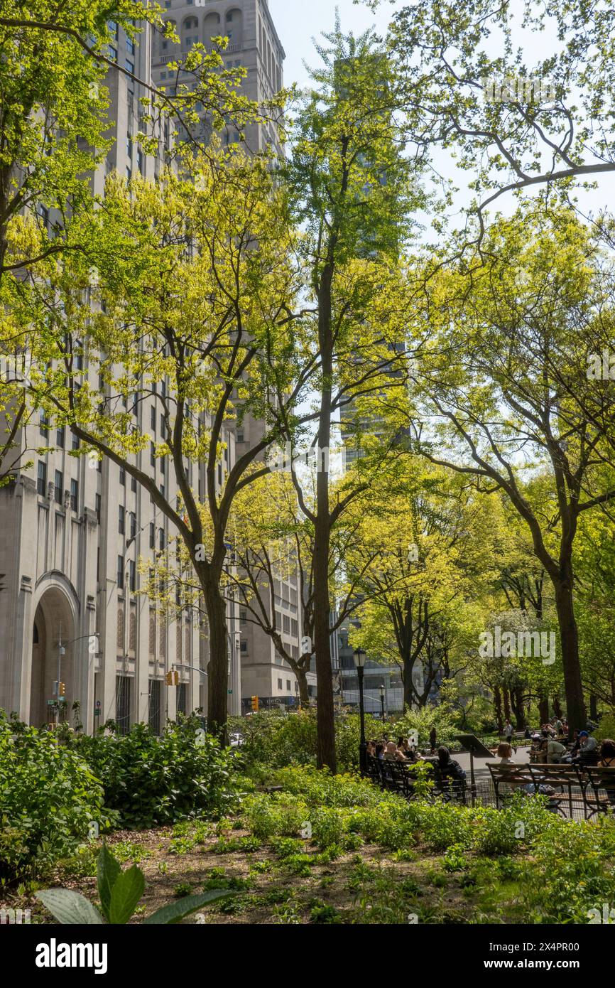 Madison Square Park in the springtime is an urban oasis for tourist and ...