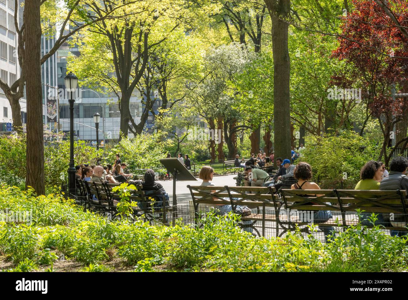 Park of arboretum and benches hi-res stock photography and images - Alamy