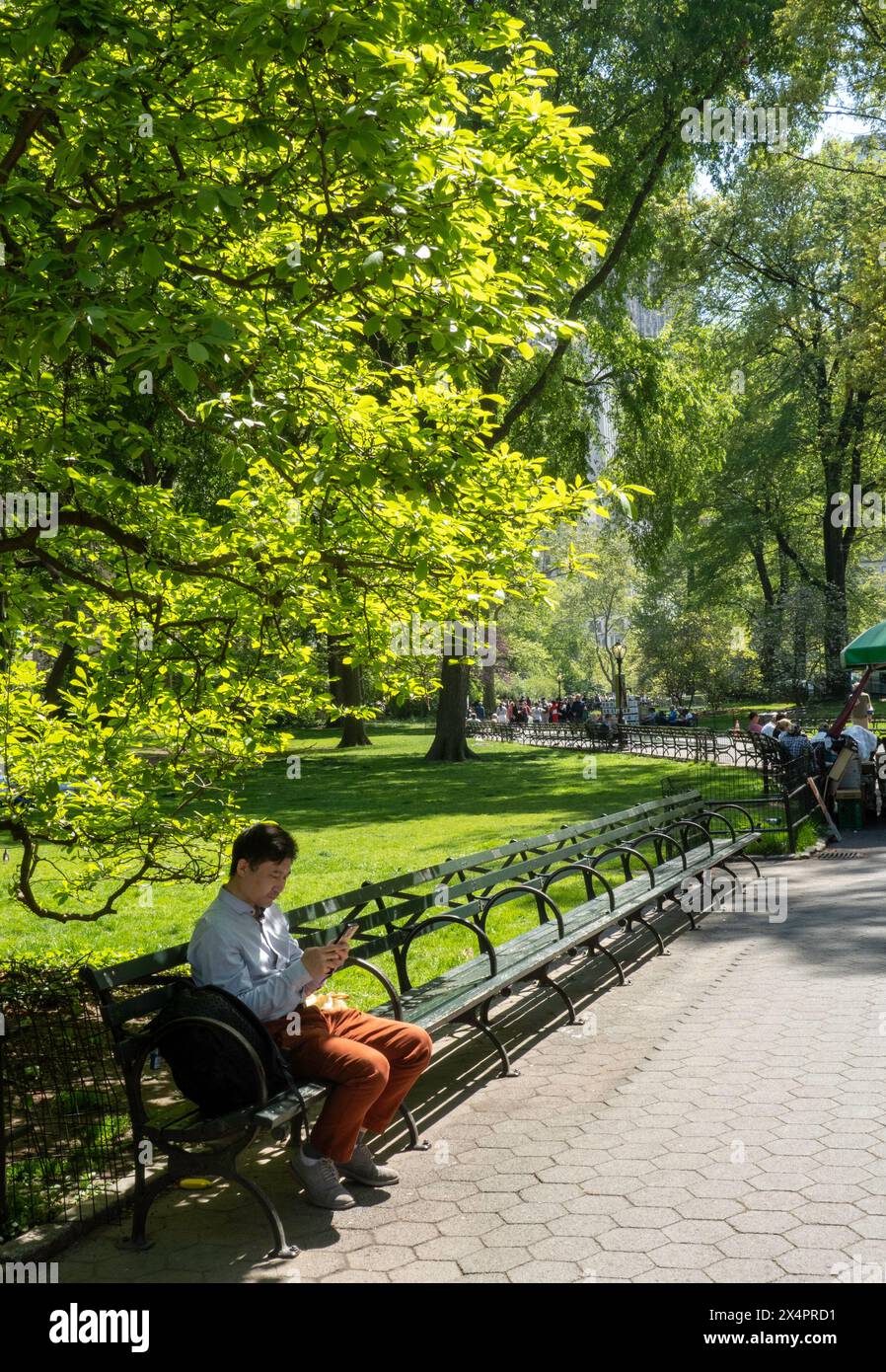 Outside daytime park benches hi-res stock photography and images - Alamy