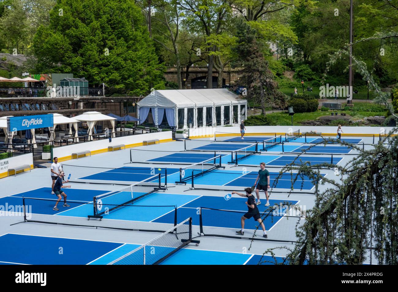 Pickleball sports court hi-res stock photography and images - Alamy