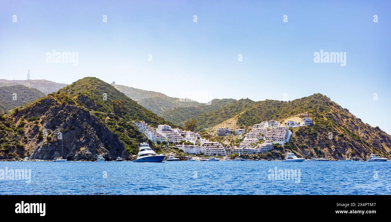Catalinaisland hi-res stock photography and images - Alamy
