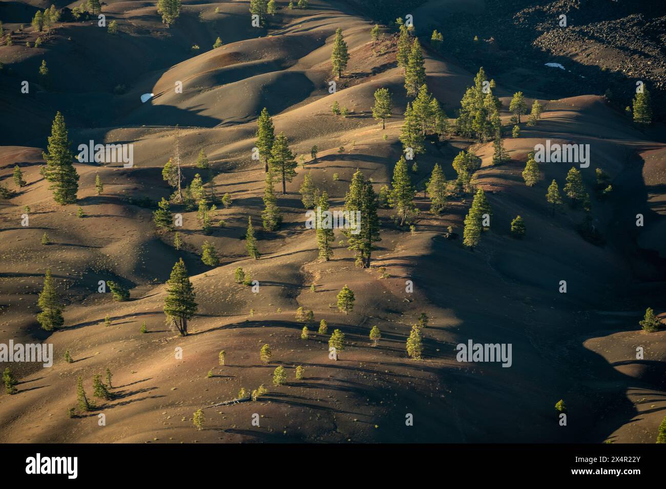 Trees Dot the Hills of Cinder in Lassen Volcanic National Park Stock ...