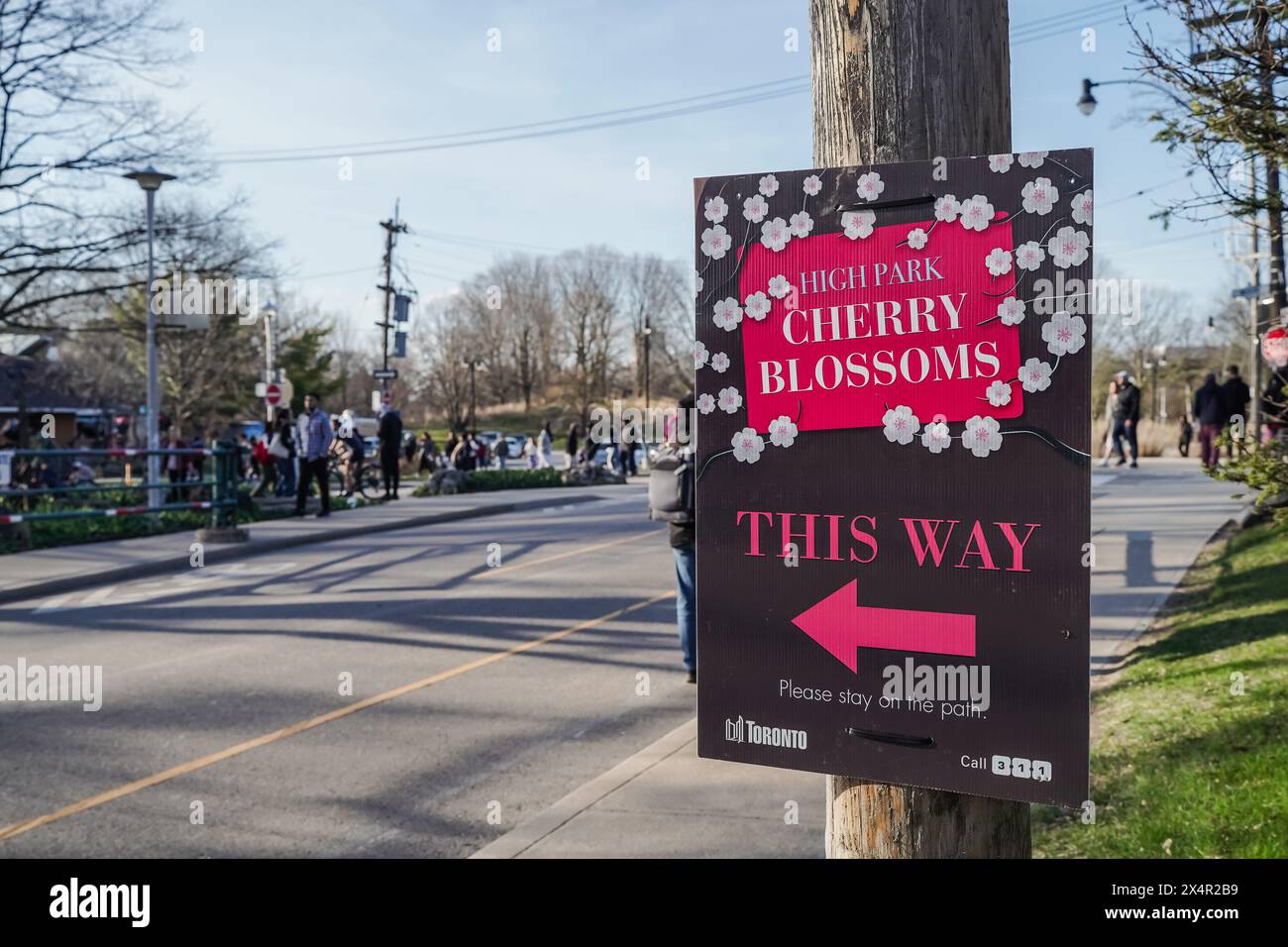 Toronto high park cherry blossoms sign hi-res stock photography and ...