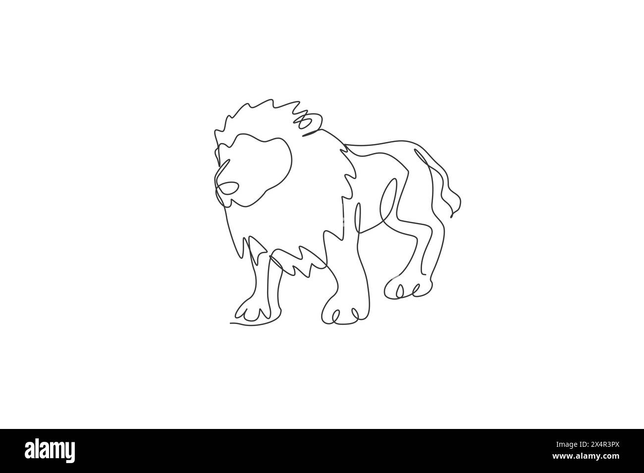 One continuous line drawing of big male lion. Wild animal national park ...