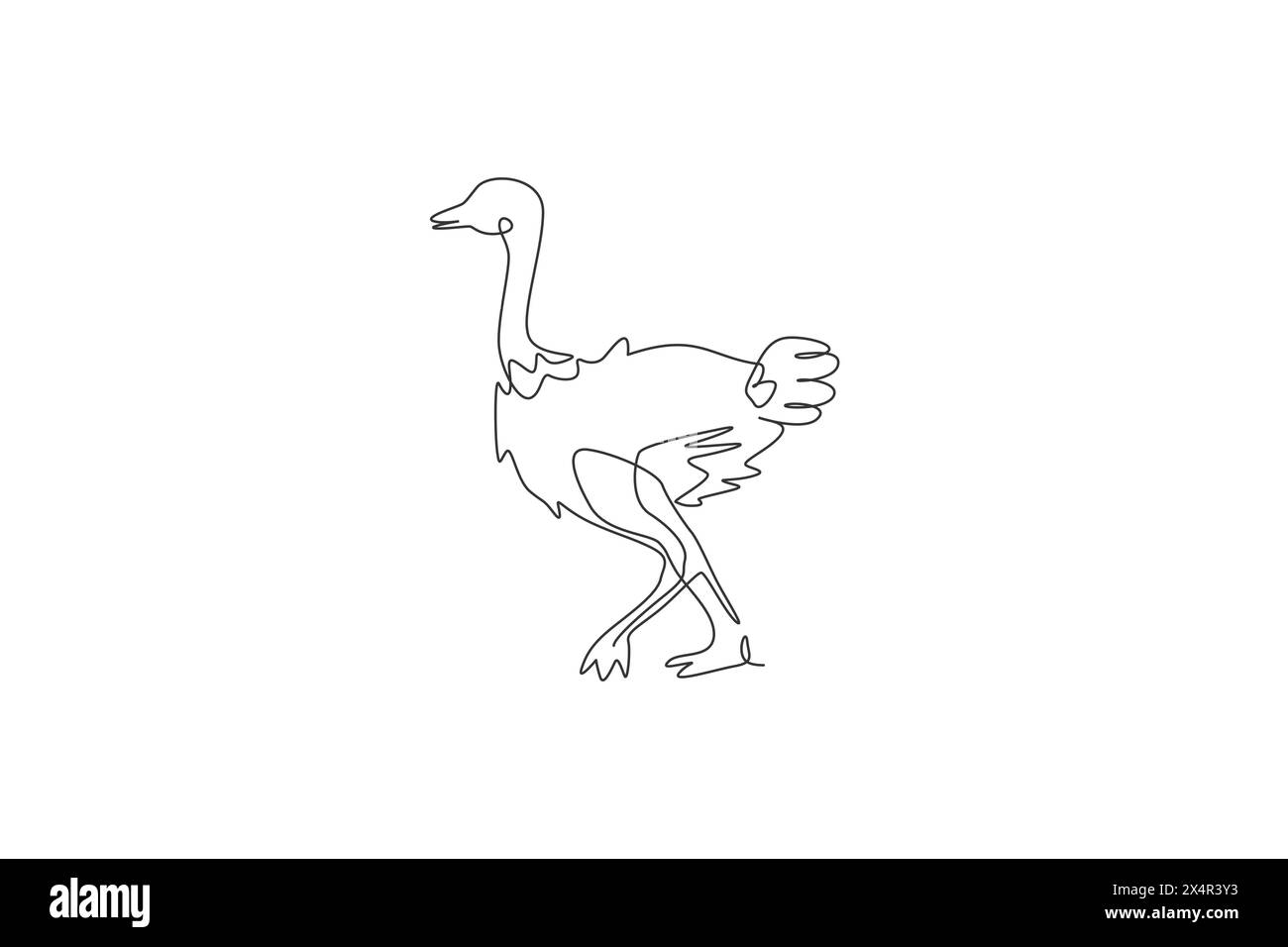 Single continuous line drawing of cute big ostrich bird. Endangered ...