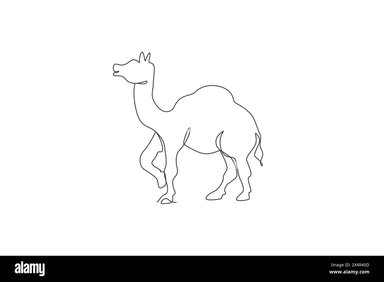 Single continuous line drawing of wild Arabian camel. Endangered animal ...