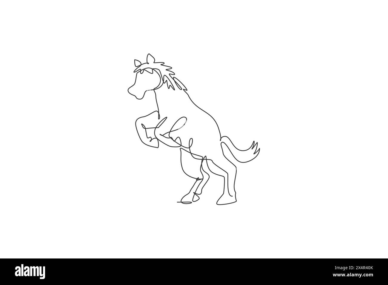 Single continuous line drawing of wild horse mustang. Endangered animal ...
