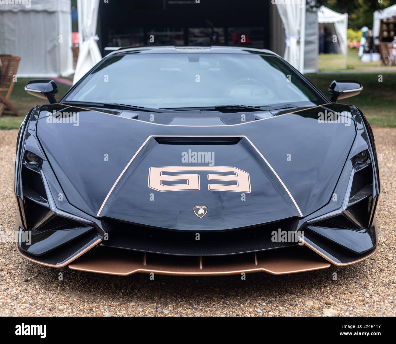 Gold Lamborghini 2022