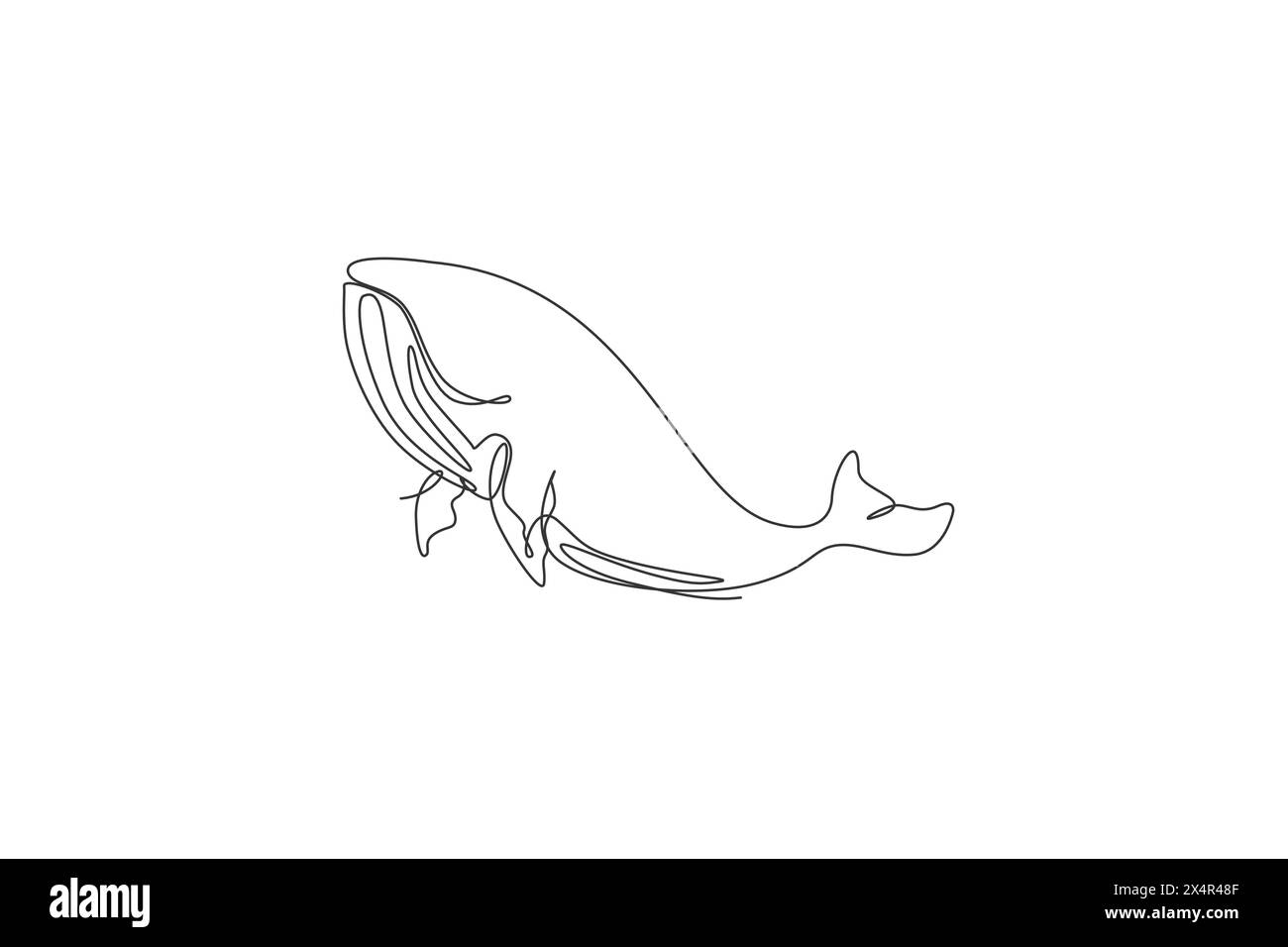 One single line drawing of blue whale vector illustration. Endangered ...