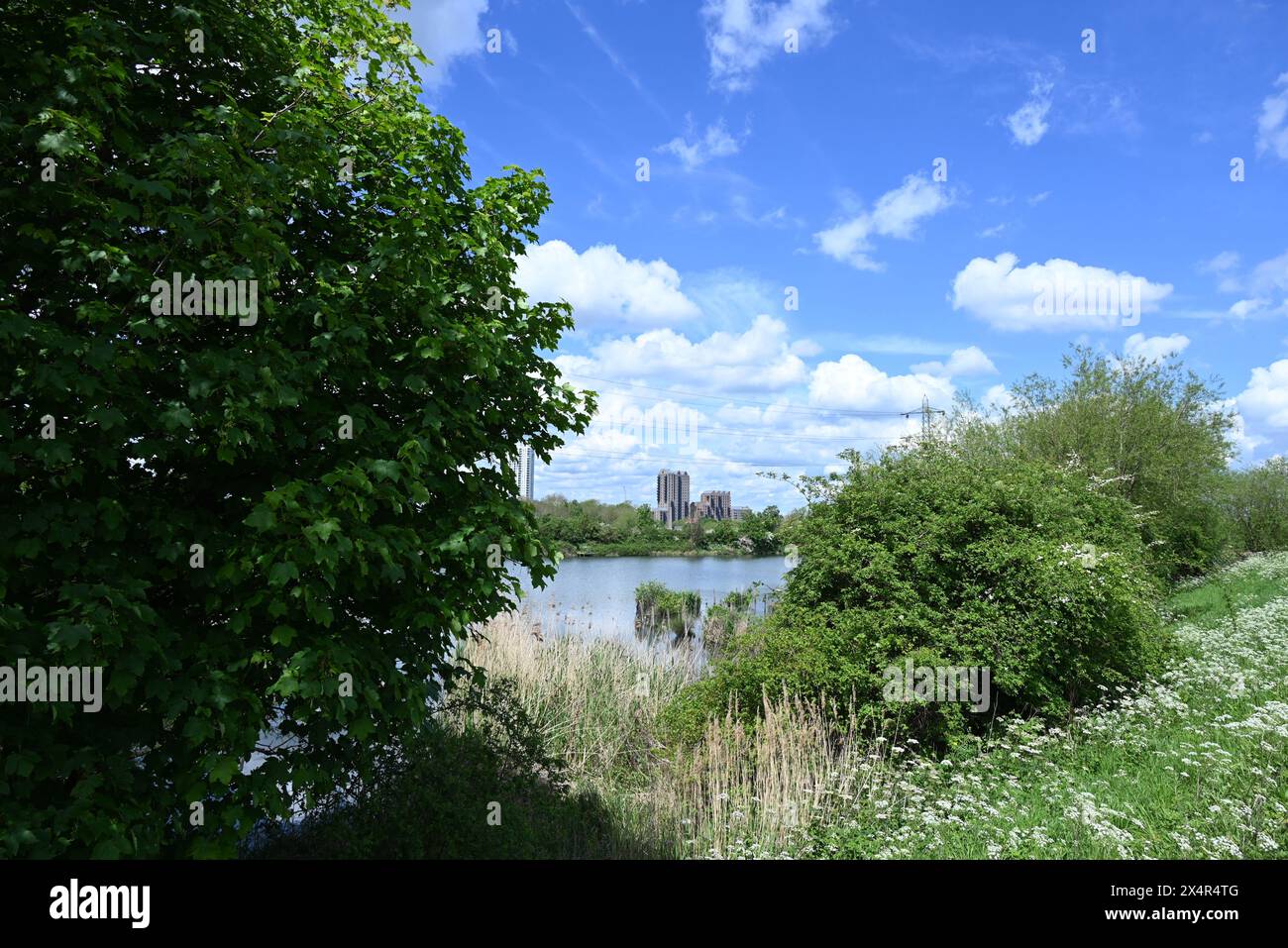Walthamstow Wetlands is a fully operational 160 hectare Thames Water ...