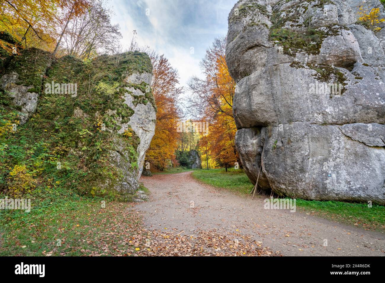 Jurassic park gate hi-res stock photography and images - Alamy