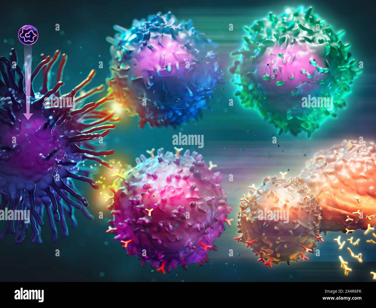 Illustration of the immune response caused by an mRNA (messenger ...