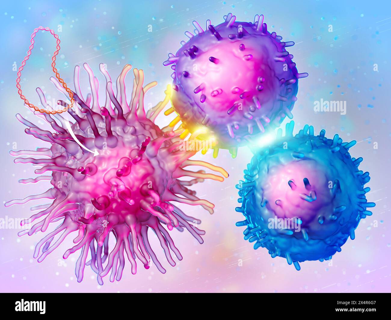Illustration of a DNA (deoxyribonucleic acid) vaccine entering an ...