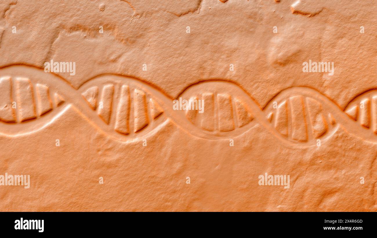 Illustration of a deoxyribonucleic acid (DNA) double helix resembling ...