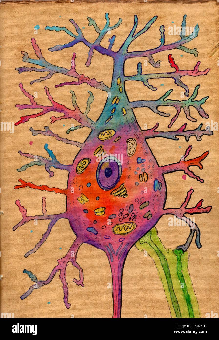 Illustration of the motor neuron structure on aged paper evoking the ...