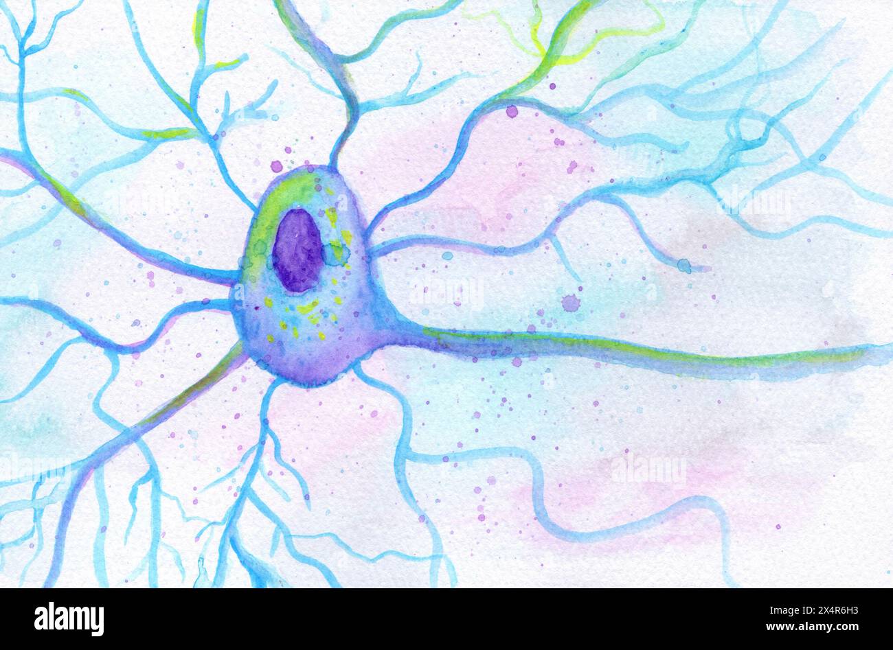 Illustration depicting the motor neuron cell, showing the cell body ...