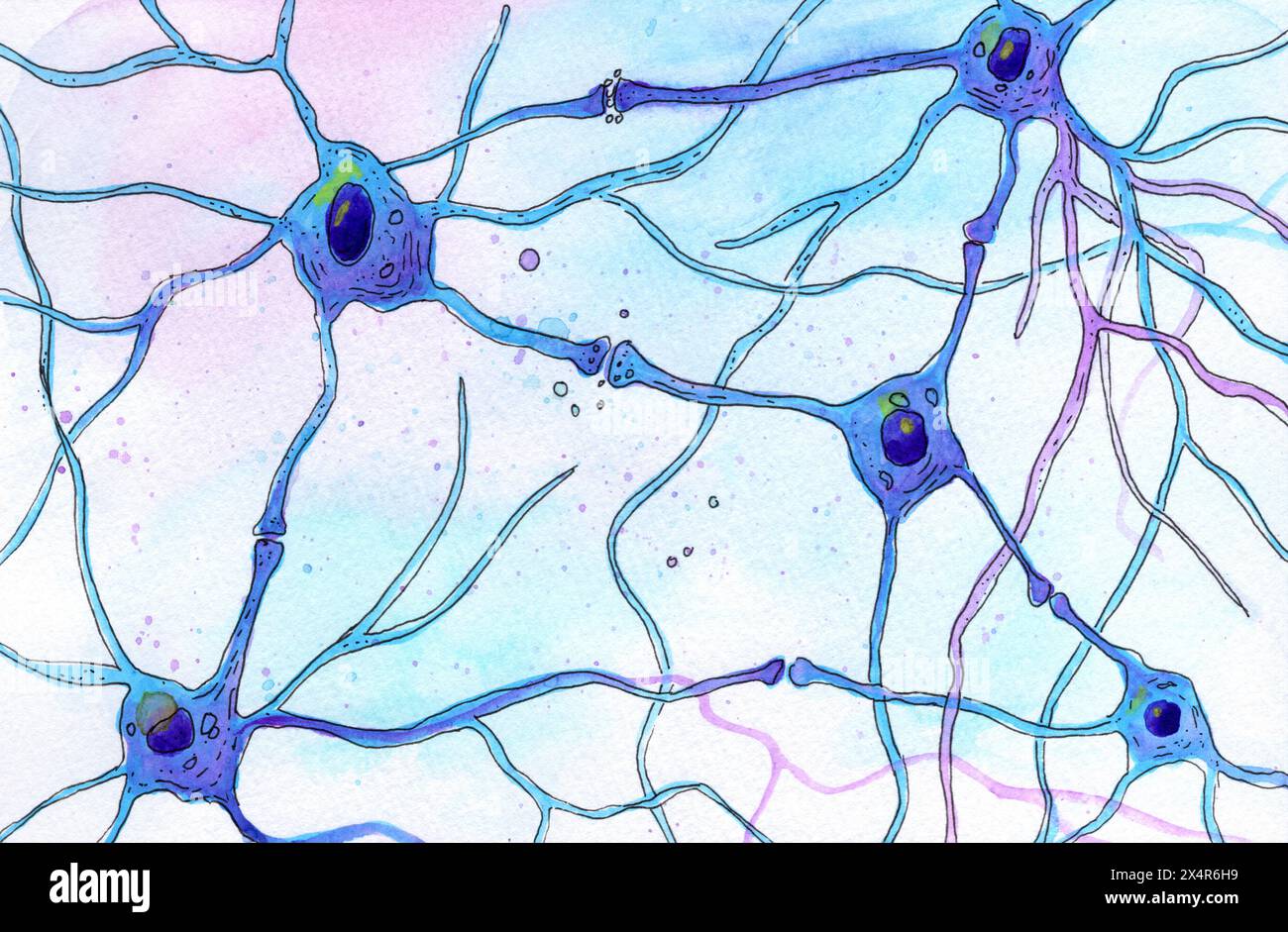 Illustration of a neural network, showing multiple neurons connected by ... Illustration of a neural network, showing multiple neurons connected by ...