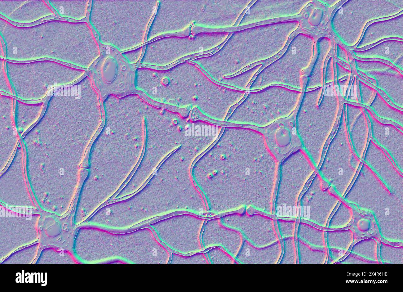 Illustration of a neural network, showing multiple neurons connected by ...