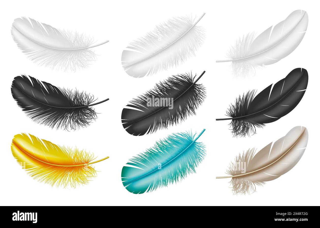 Realistic feathers: white, black and colorful 3d plumes from bird wings ...