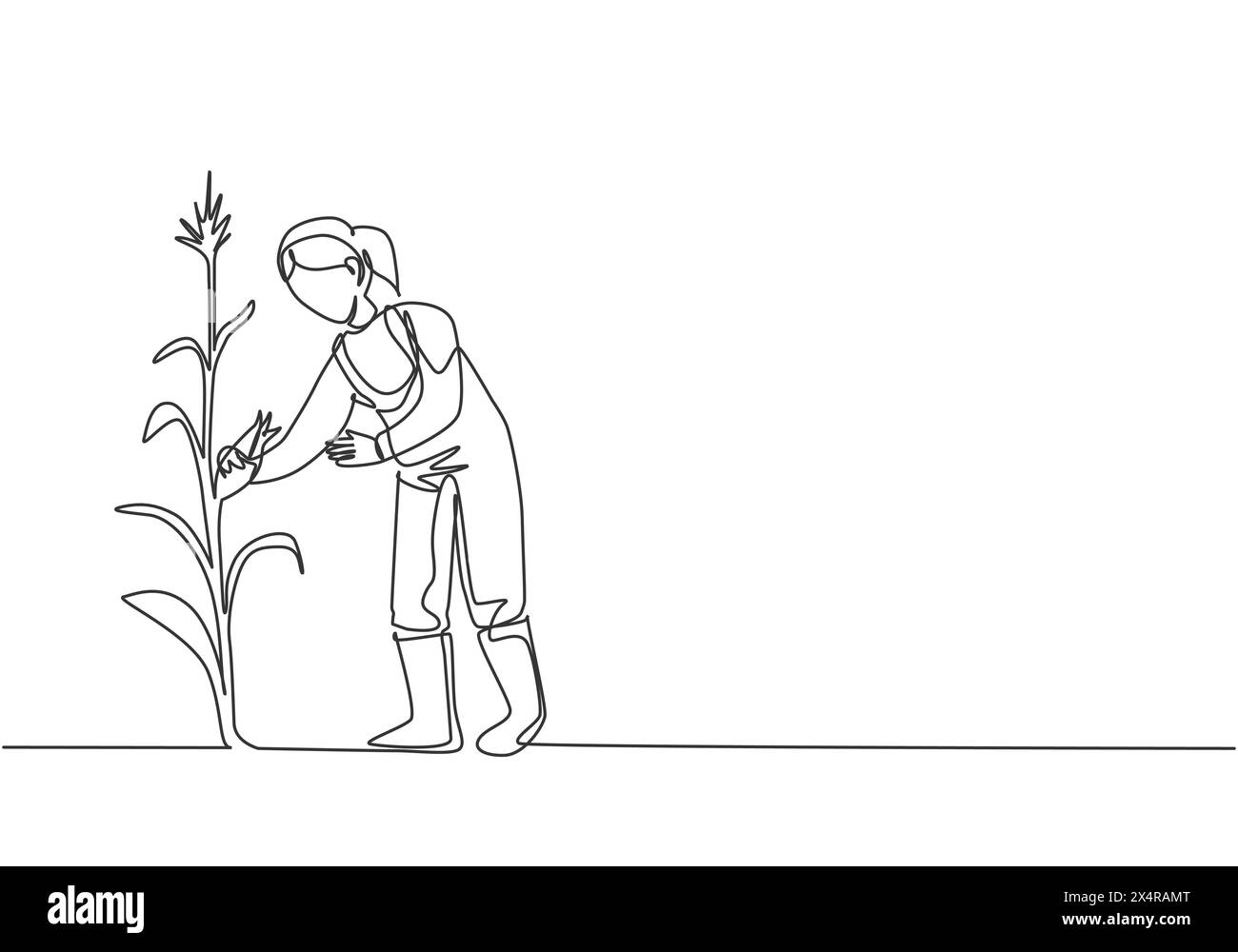Continuous one line drawing young female farmer picking the corn on the ...