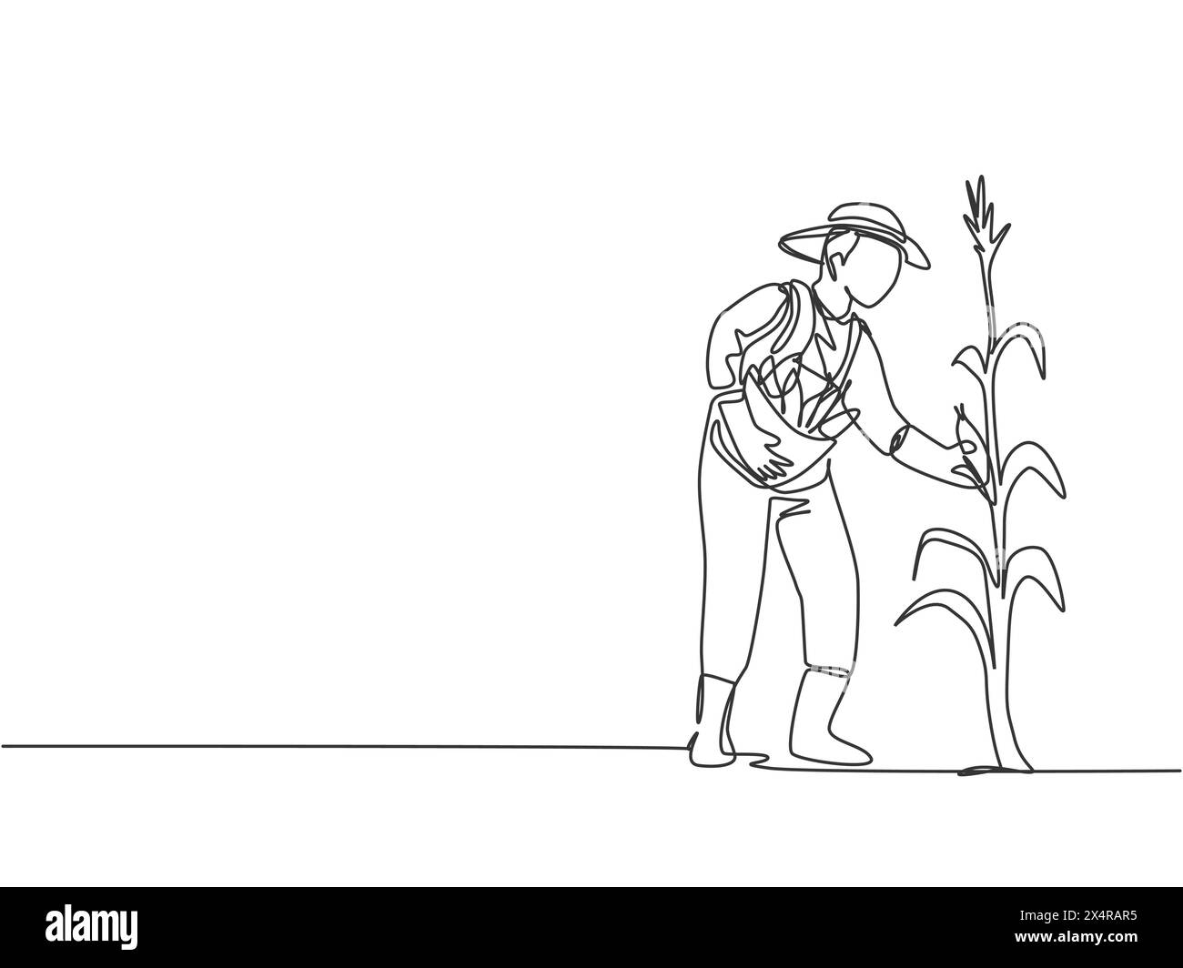 Single one line drawing of young male farmer picking the corn on the ...