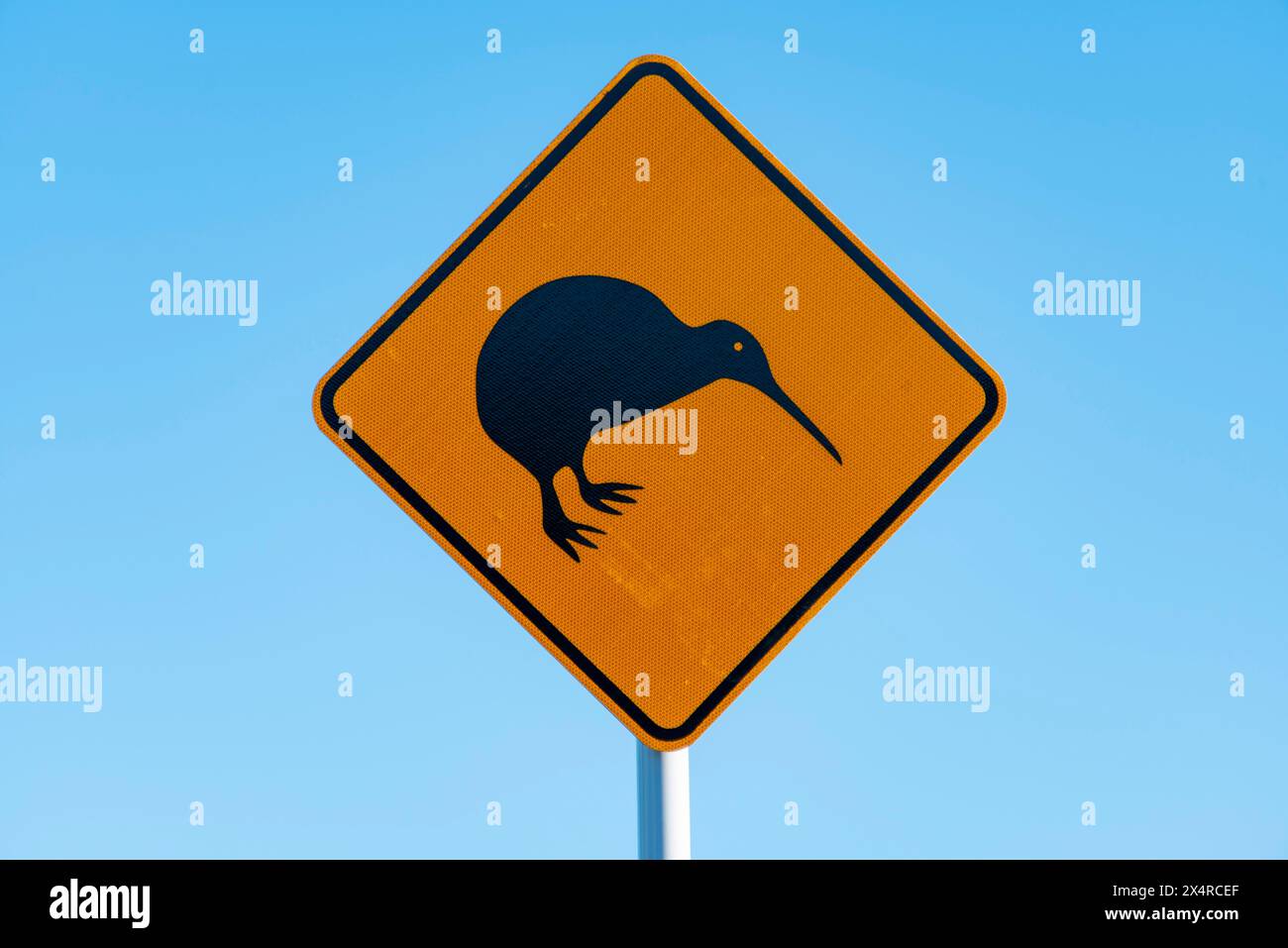 Kiwi Road Sign - New Zealand Stock Photo - Alamy