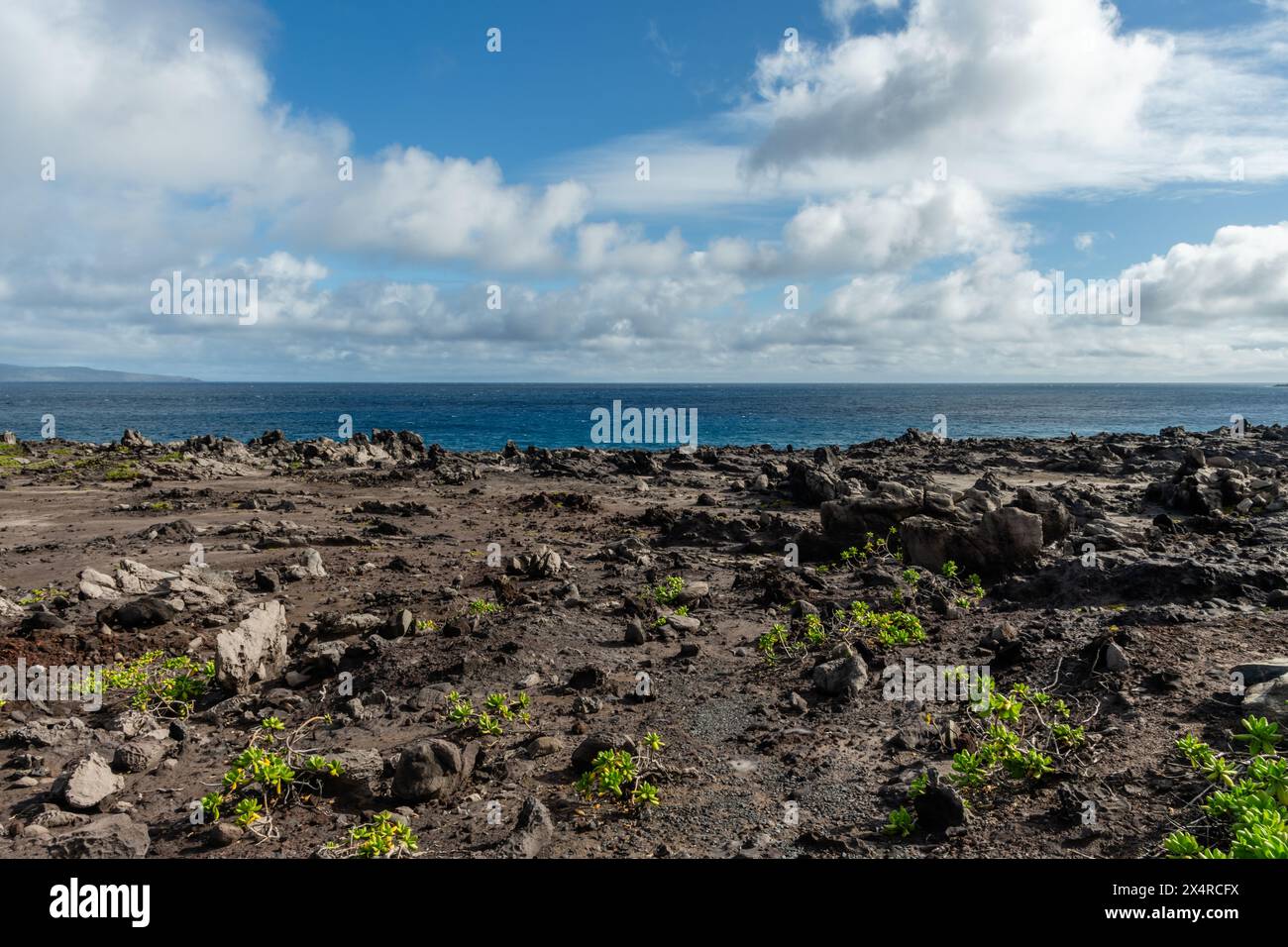 Beautiful Kapalua Coastal Trail vista on Maui, Hawaii, with Molokai ...